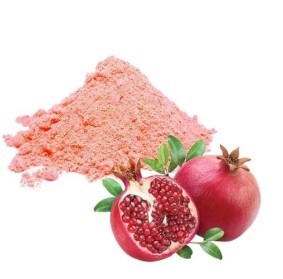 Organic Fruit Powders | 100% Natural | Natural Thrive